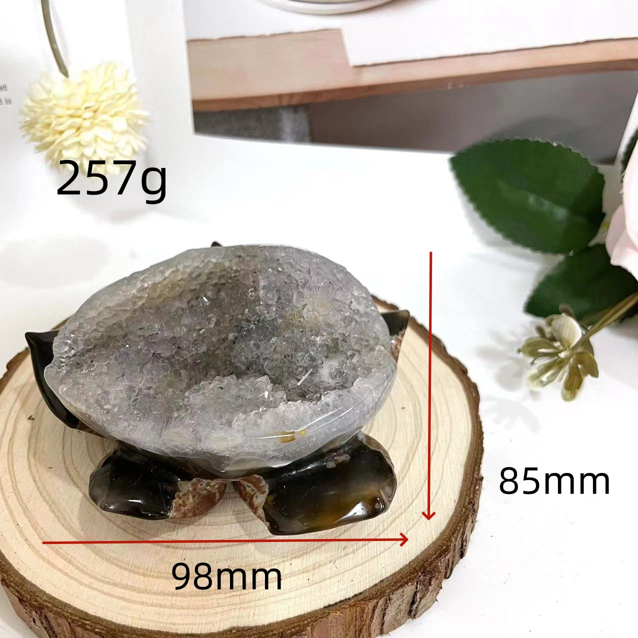 Lotus Druzy Natural Raw Geode From IG Crystal